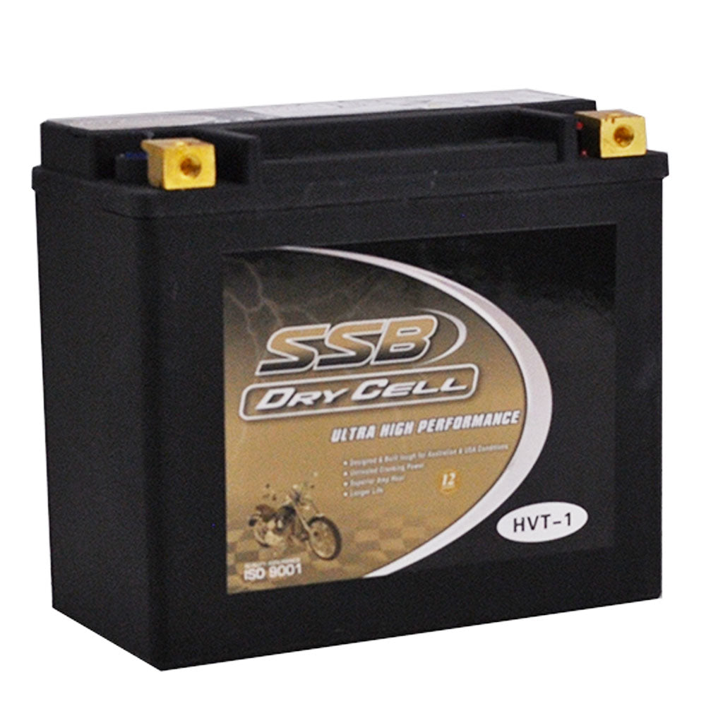 SSB Dry Cell Deep Cycle - SSB - Batteries By Brand